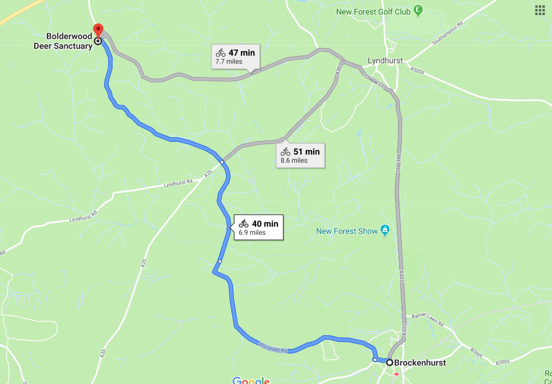 New Forest: wycieczka rowerowa z Londynu - Guru Podróży