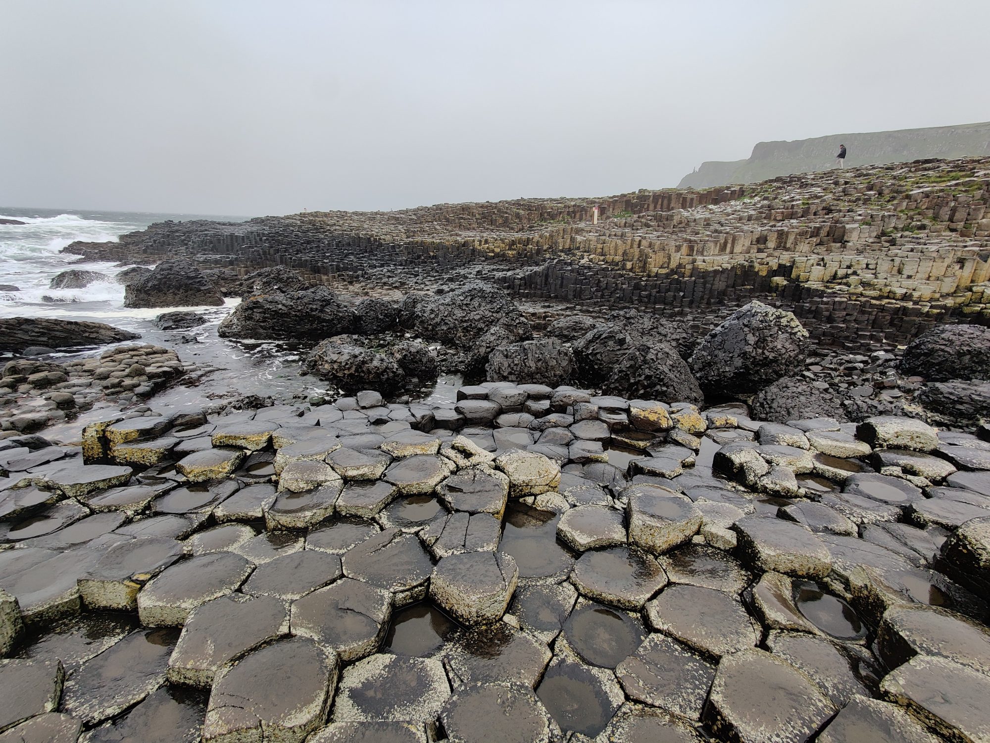 Giant's Causeway (Grobla Olbrzyma) w Irlandii Północnej - Guru Podróży