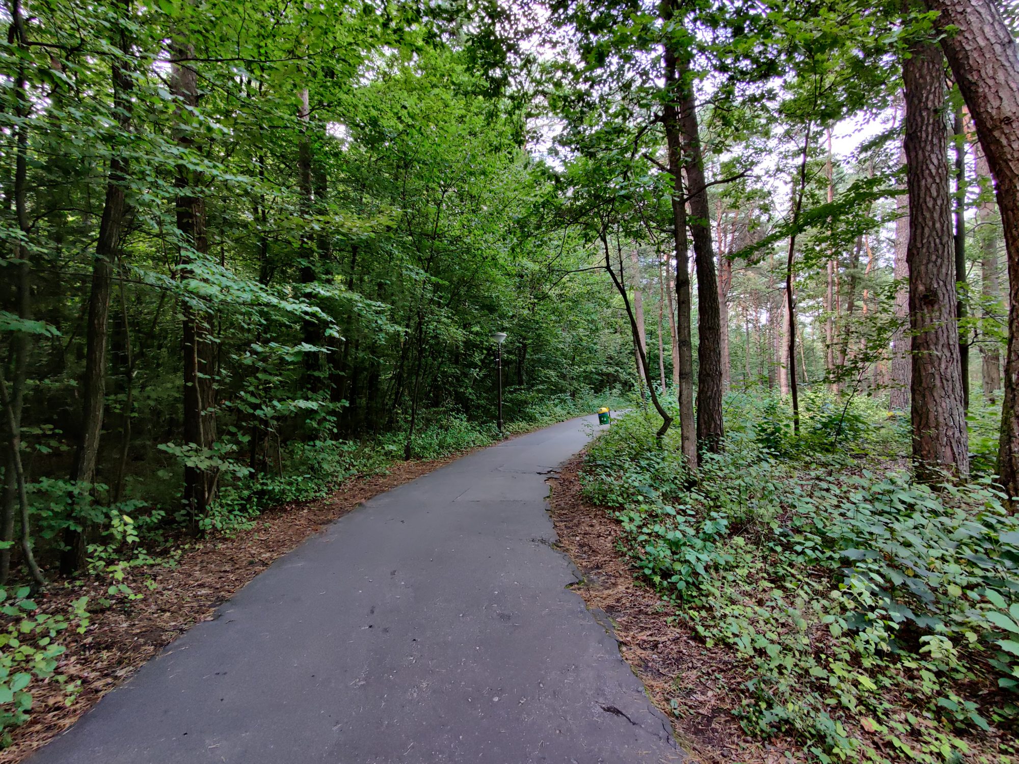 Jaskinia Raj: zwiedzanie, bilety, dojazd, opis trasy | Guru Podróży