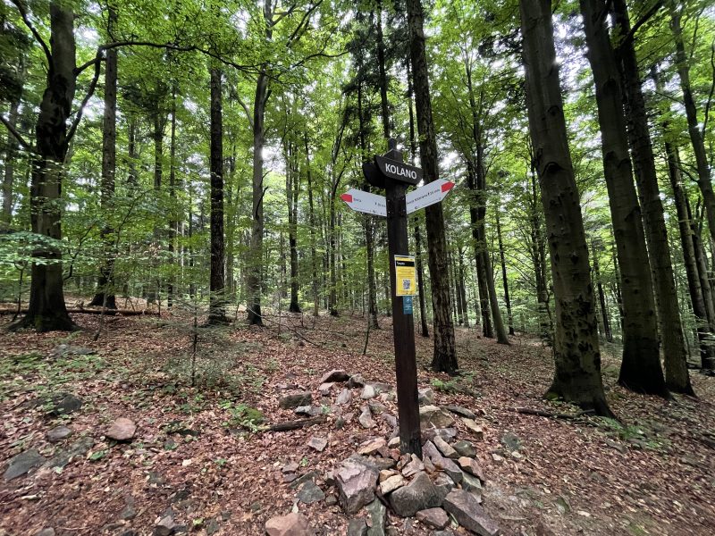 Łysica - najwyższy szczyt Gór Świętokrzyskich 614 m. n.p.m. - Guru Podróży