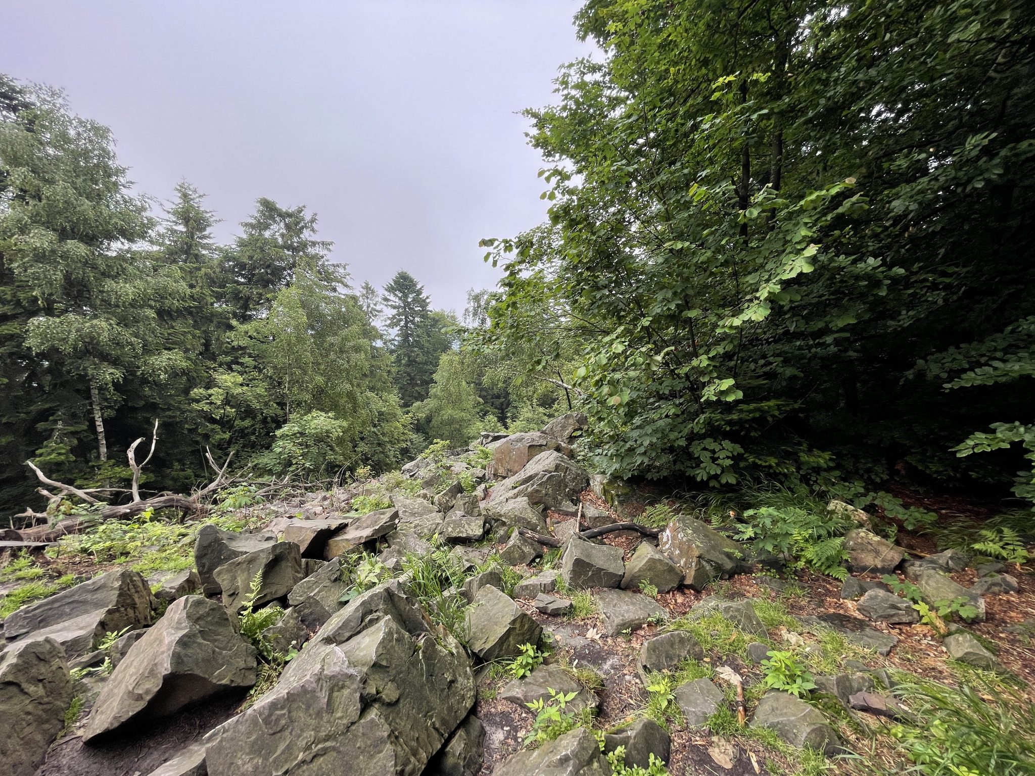 Łysica - najwyższy szczyt Gór Świętokrzyskich 614 m. n.p.m. - Guru Podróży