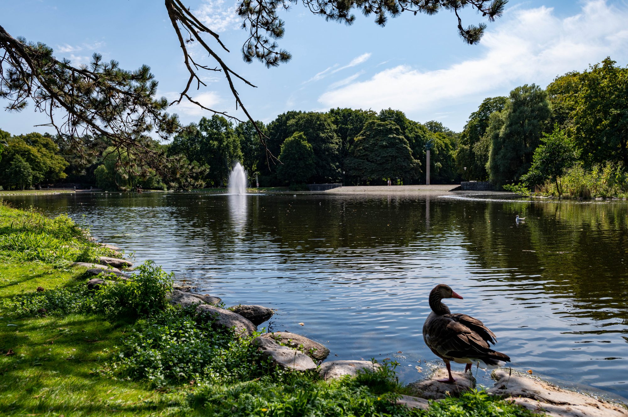 Malmö z Kopenhagi: jak dojechać i co zobaczyć | Guru Podróży