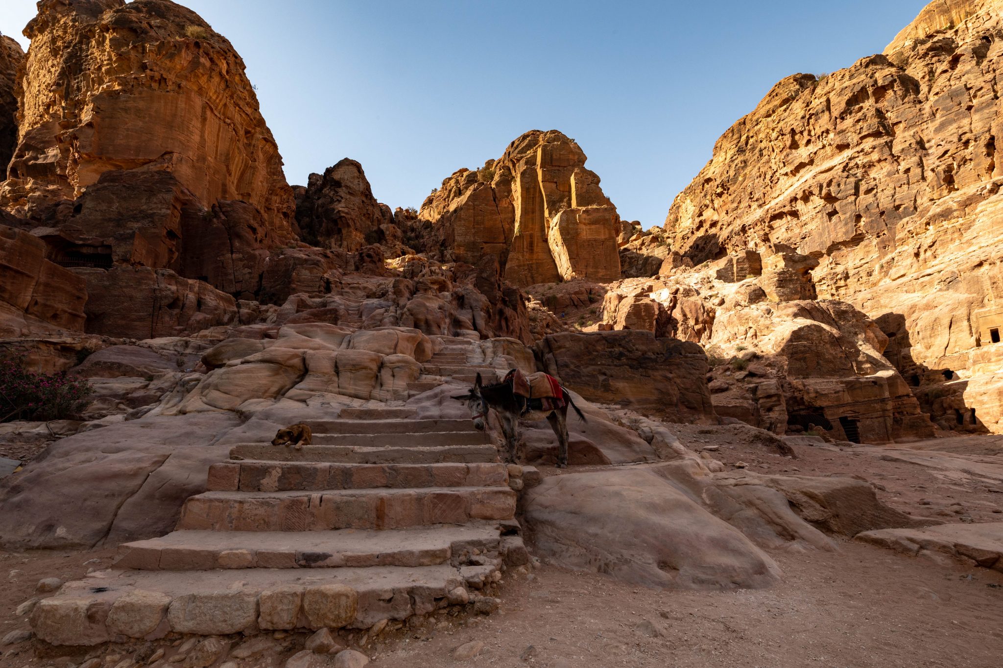Petra Jordania. Atrakcje, dojazd, bilety, parking | Guru Podróży