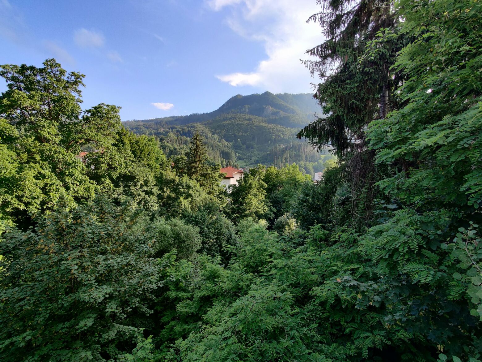 Rodopy w Bułgarii: przewodnik po atrakcjach, szlaki | Guru Podróży