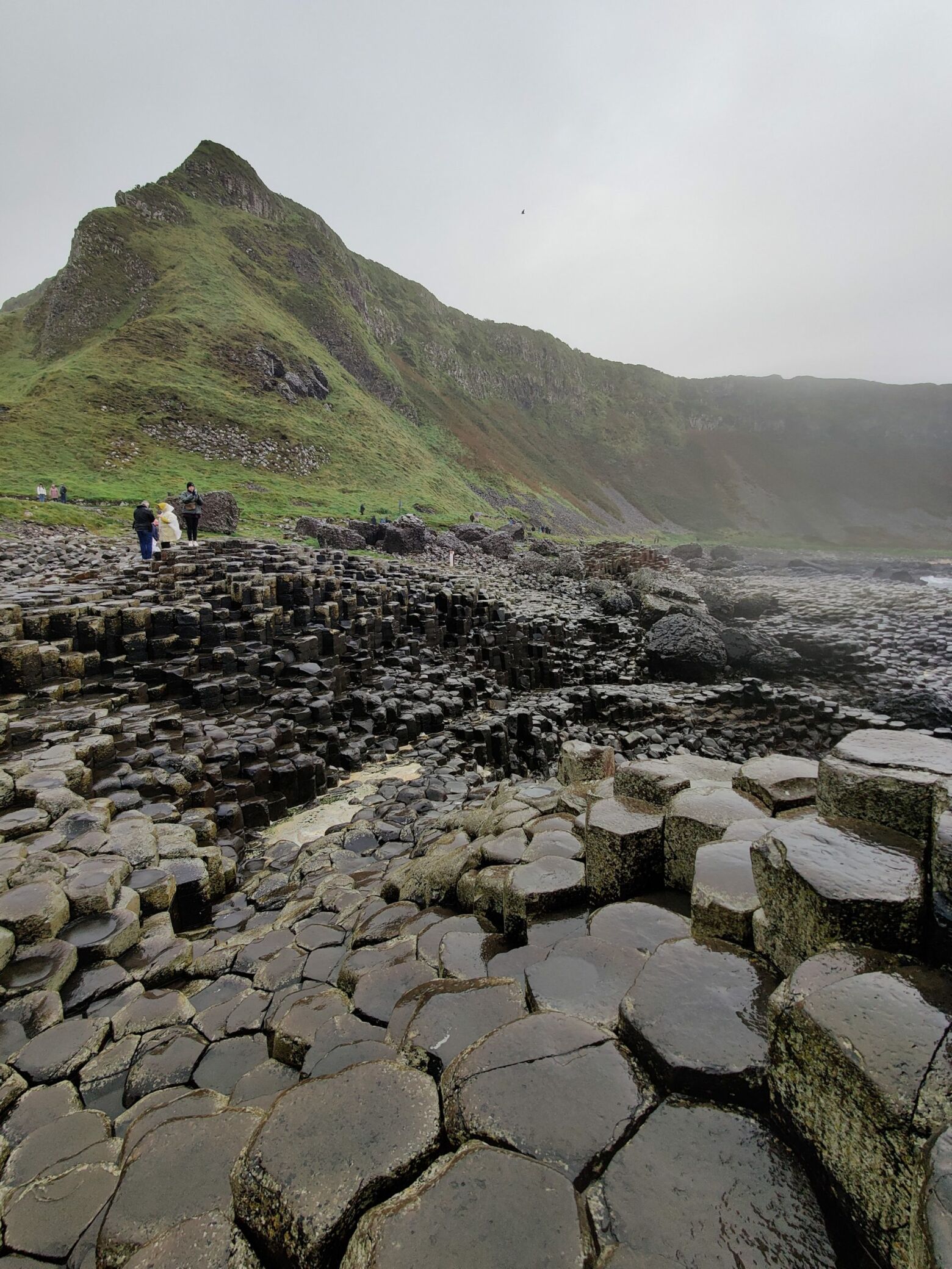 Giant's Causeway (Grobla Olbrzyma) w Irlandii Północnej - Guru Podróży