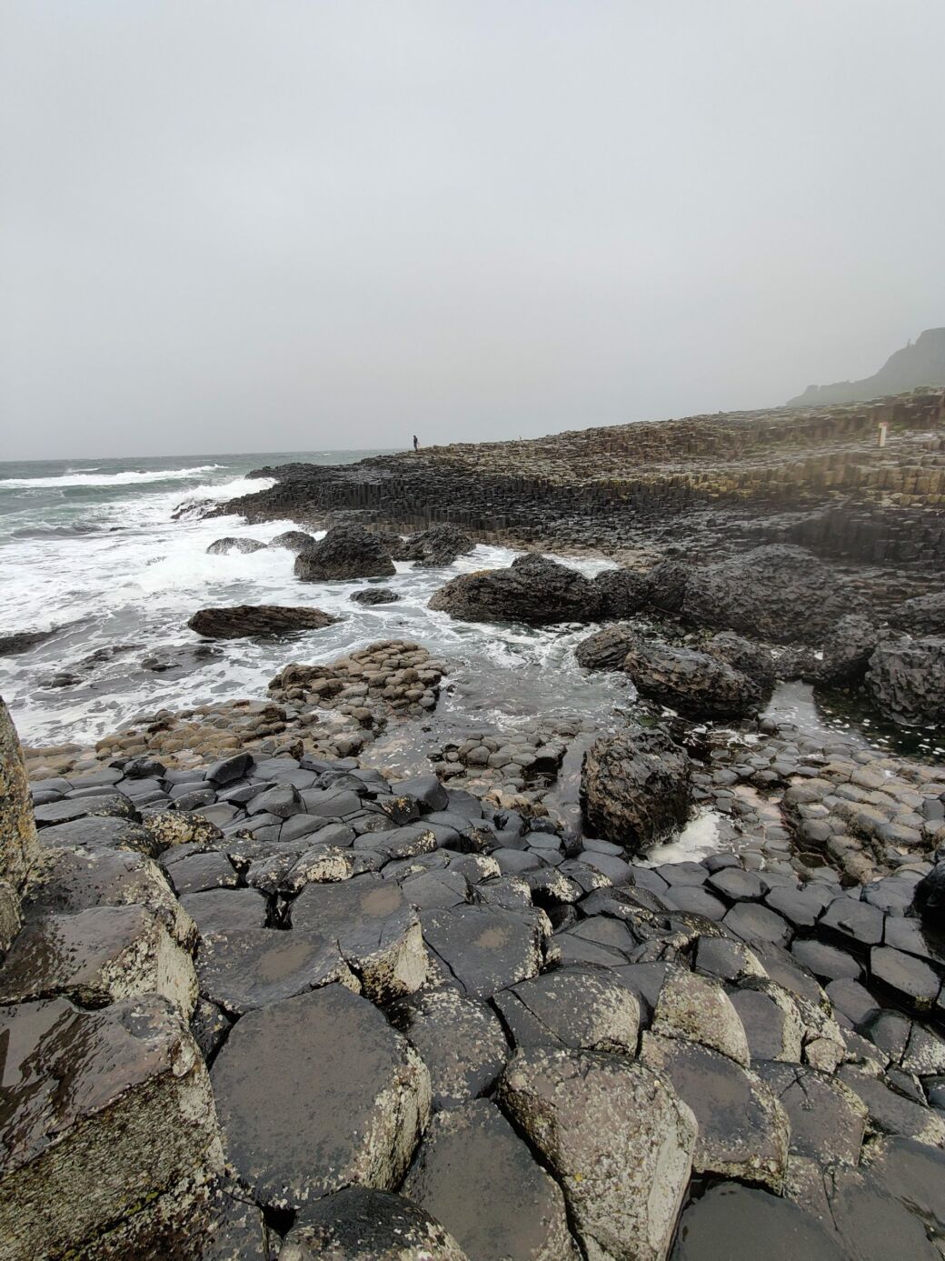 Giant's Causeway (Grobla Olbrzyma) w Irlandii Północnej - Guru Podróży