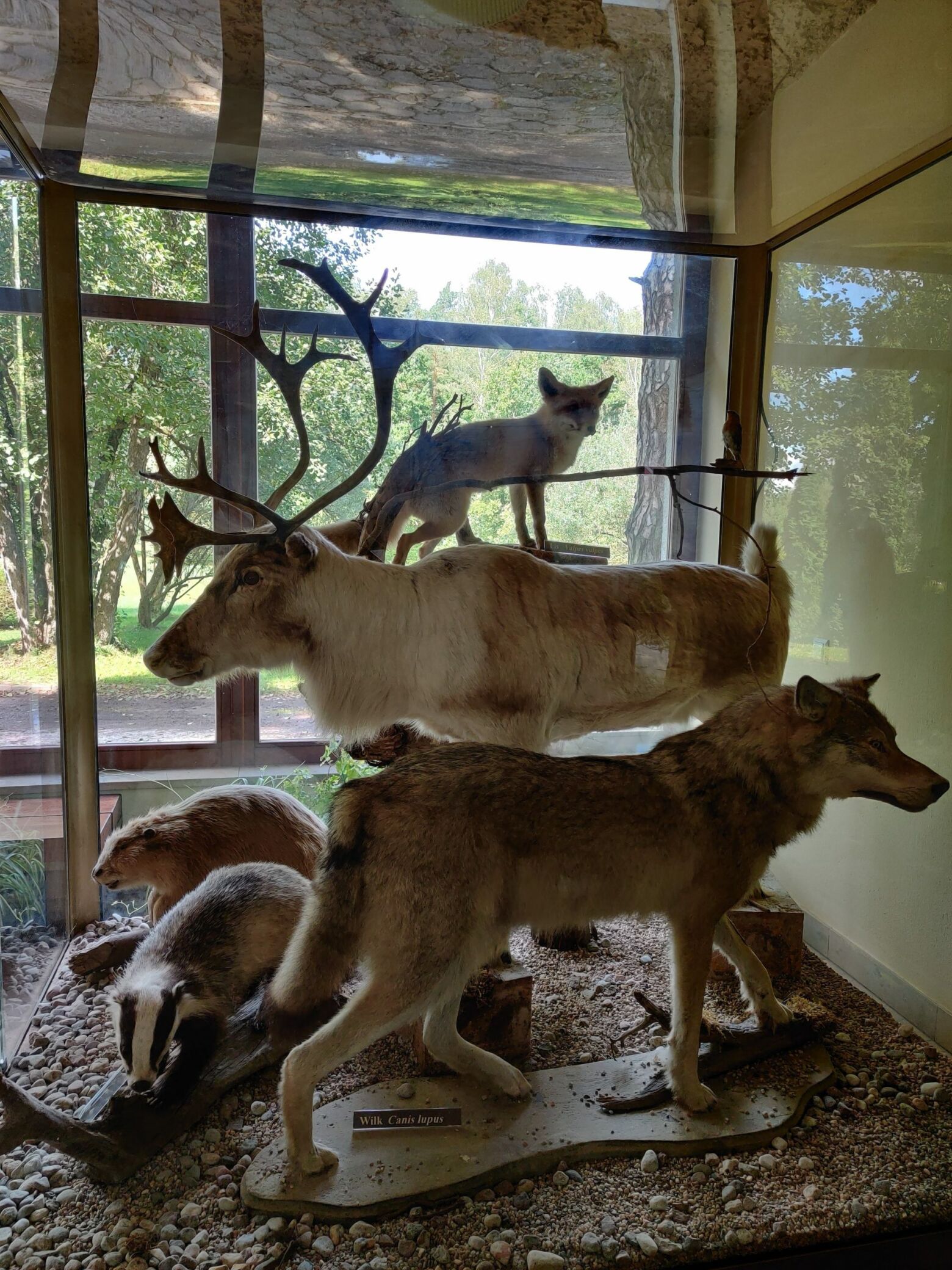 Jaskinia Raj: zwiedzanie, bilety, dojazd, opis trasy | Guru Podróży