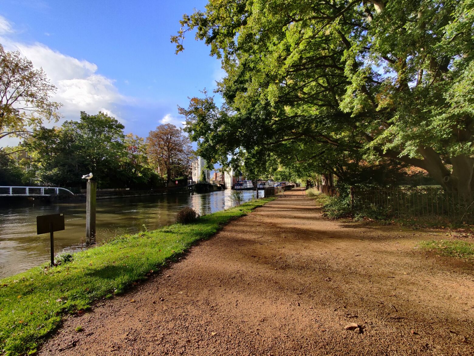 Oxford Anglia: atrakcje, co zobaczyć, jak zwiedzać | Guru Podróży