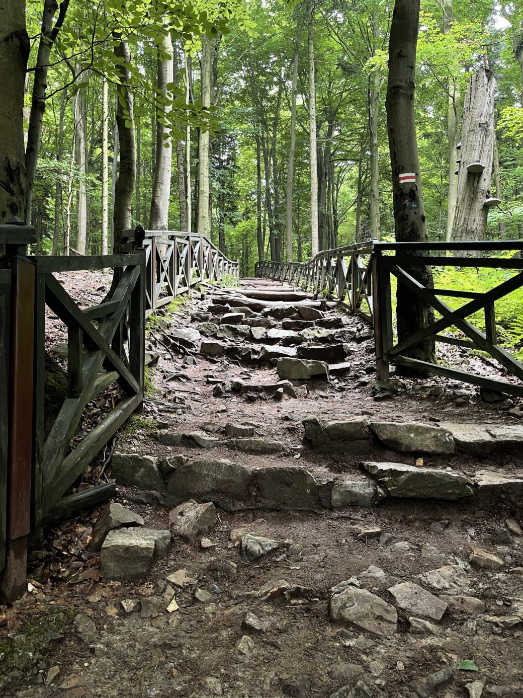 Łysica - najwyższy szczyt Gór Świętokrzyskich 614 m. n.p.m. - Guru Podróży