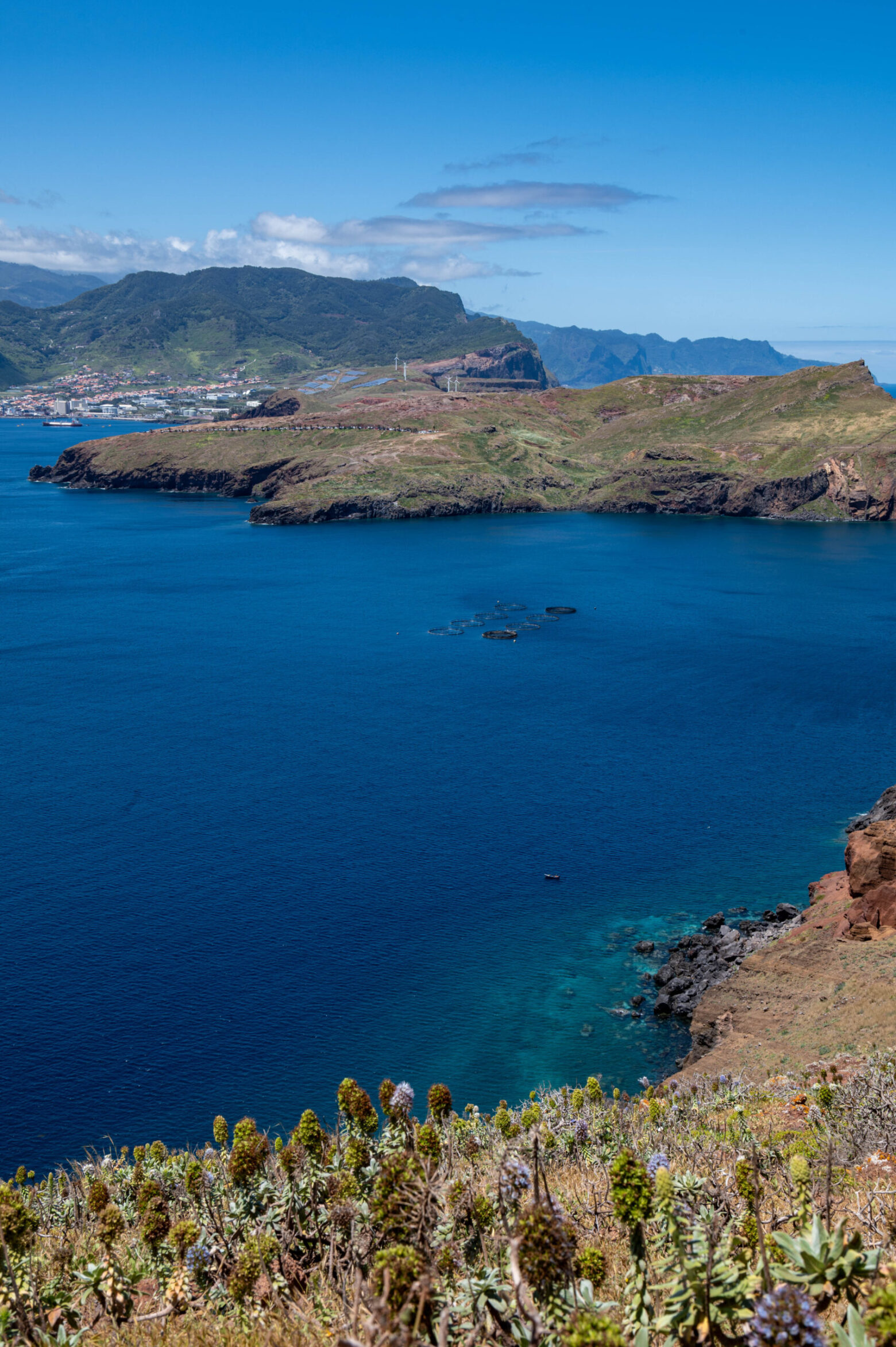 Szlak na Ponta de São Lourenço na Maderze: opis trasy | Guru Podróży